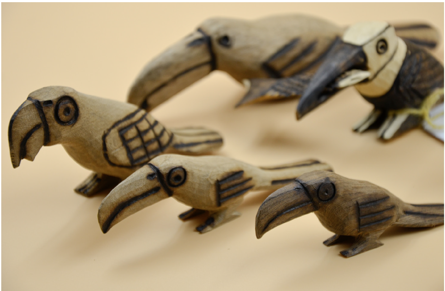 TSN 12. ARTESANÍA MBYÁ GUARANÍ